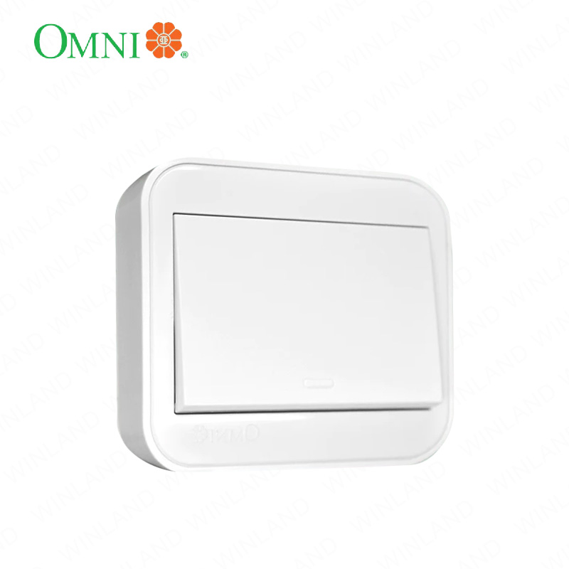 Omni by Winland Surface Mounted Convenience Wall Type Switch 1-Gang, 2 ...