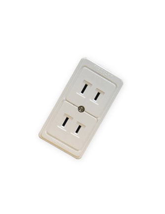 Firefly by Winland 2 Gang 2 Pin Convenience Outlet FEDOU202 | Lazada PH