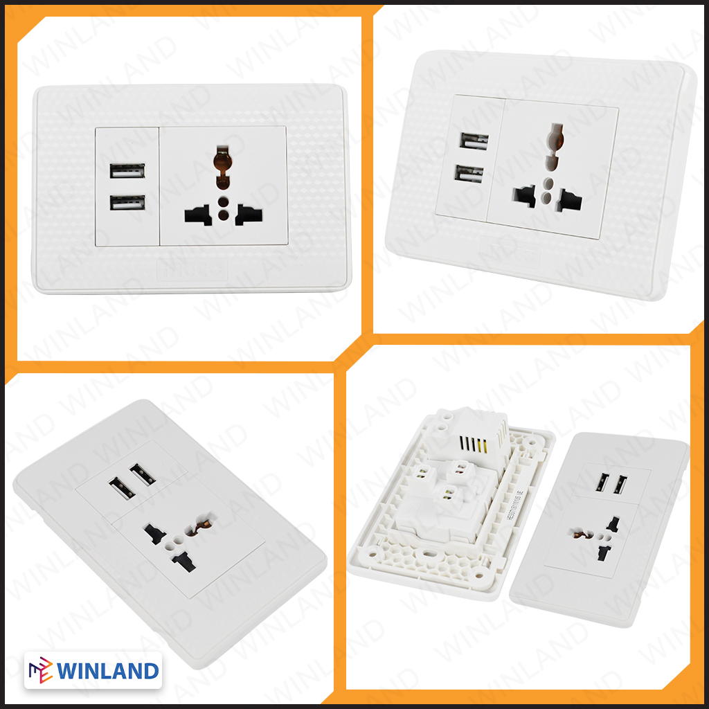 INGCO by Winland 1-Gang Socket Outlet with 2 USB 110/250V~ | 50/60Hz ...