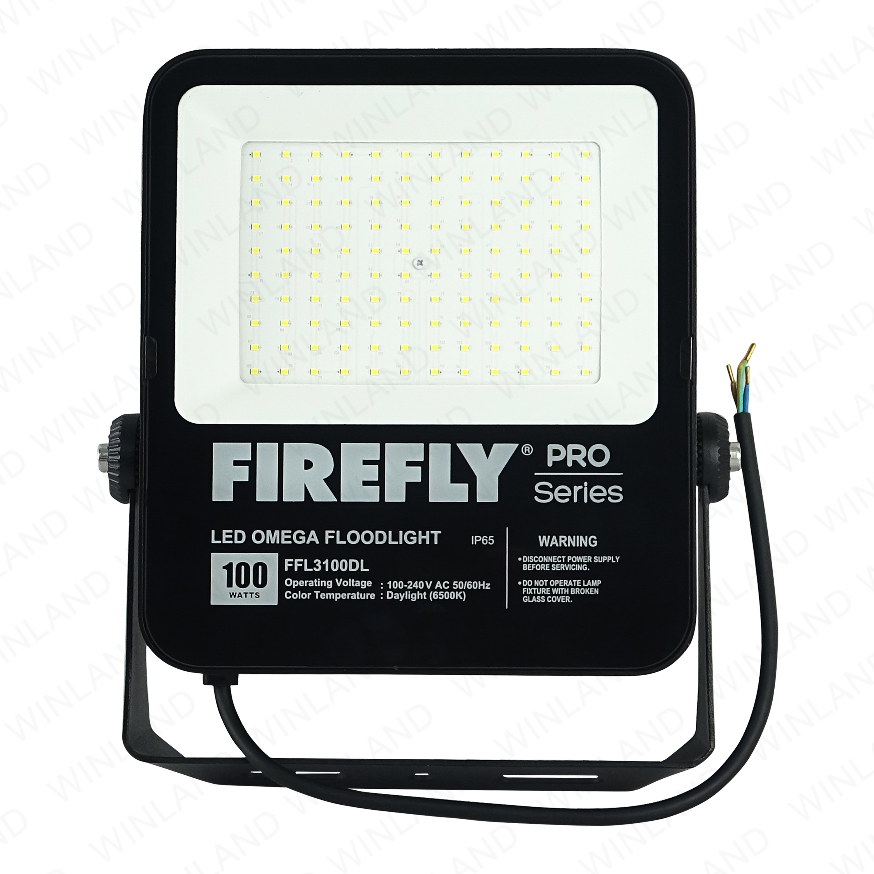 Firefly by Winland PRO Series LED Omega Floodlight ( 100W / 100-240V AC ) Daylight FFL3100DL ...