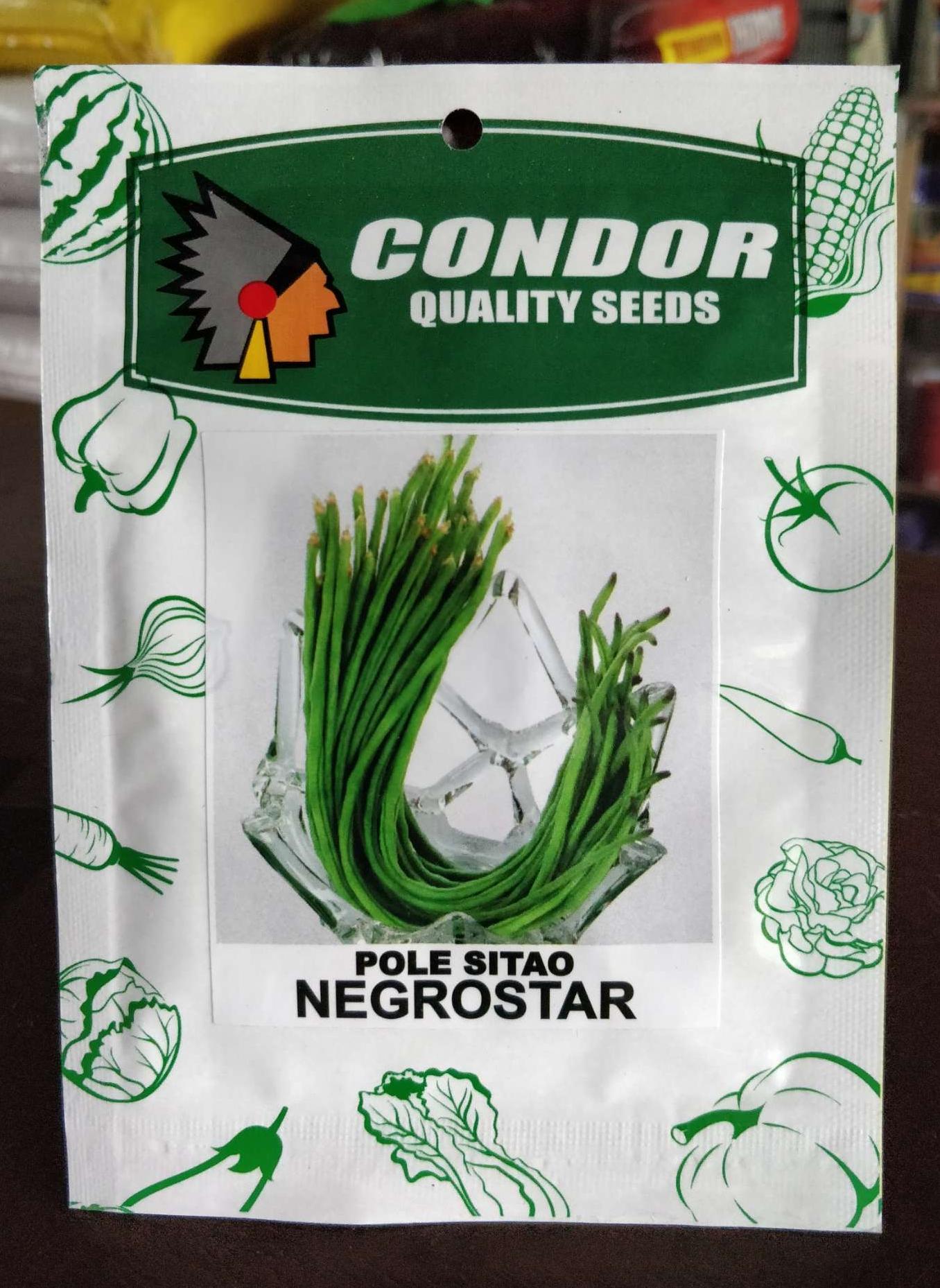 CONDOR SEEDS - POLE SITAO / SITAW SEEDS - NEGROSTAR 10 Grams | Lazada PH