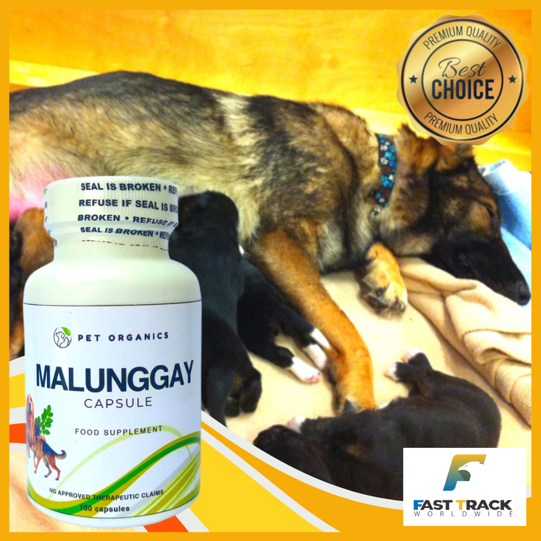 [FTW] Malunggay Capsule for Pets Lactating Dam Fully Loaded with ...