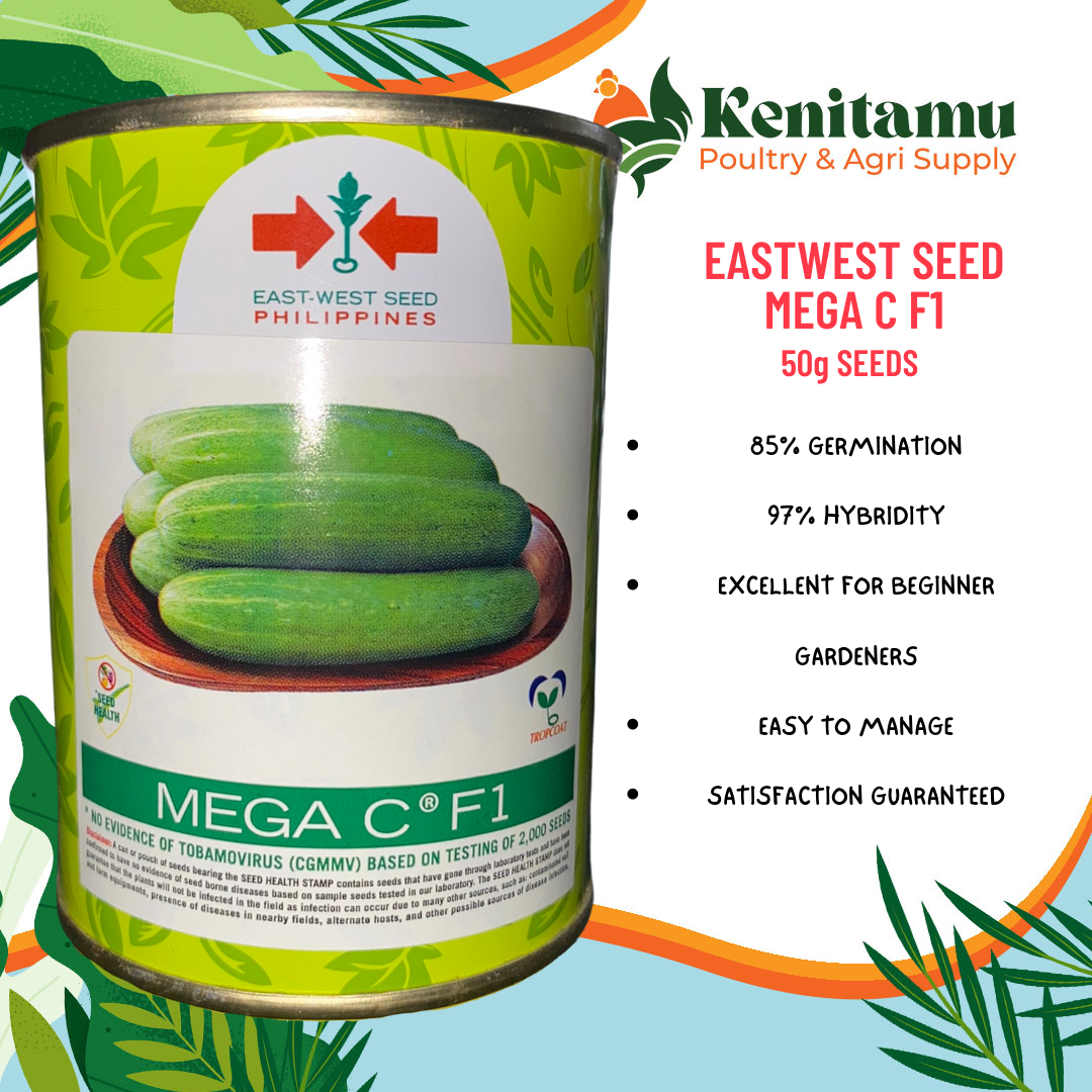 CUCUMBER MEGA C F1 50g BY: EASTWEST SEED | Lazada PH