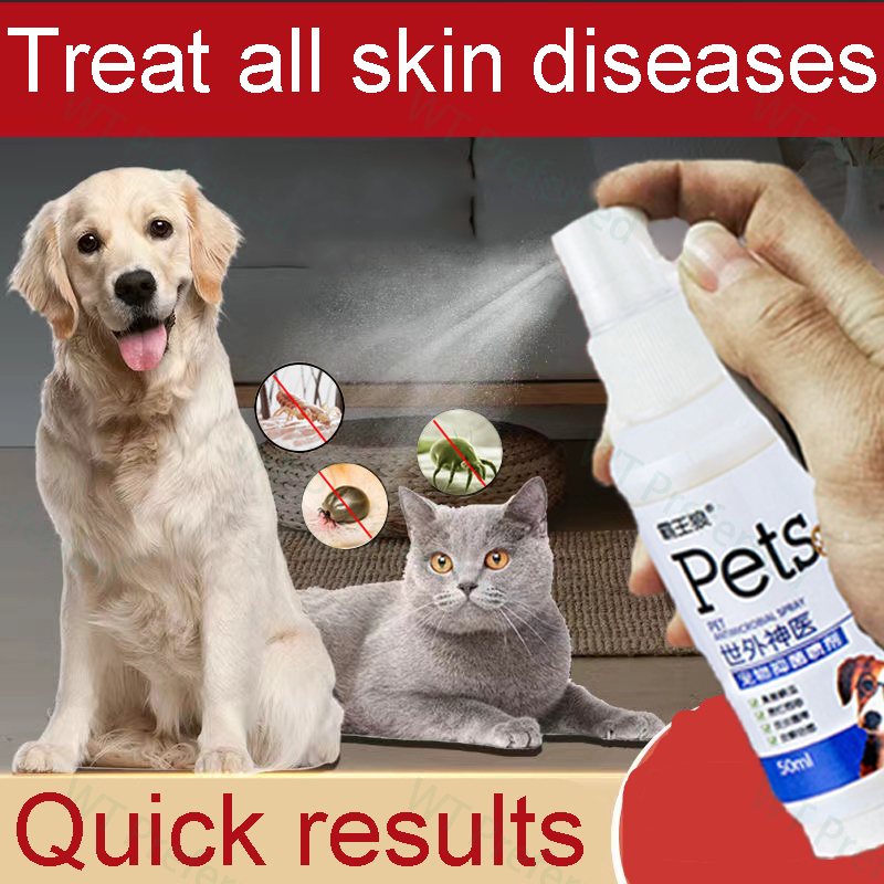 Pet Skin Treatment Spray Pet Antibacterial Spray Solve dog dandruff ...