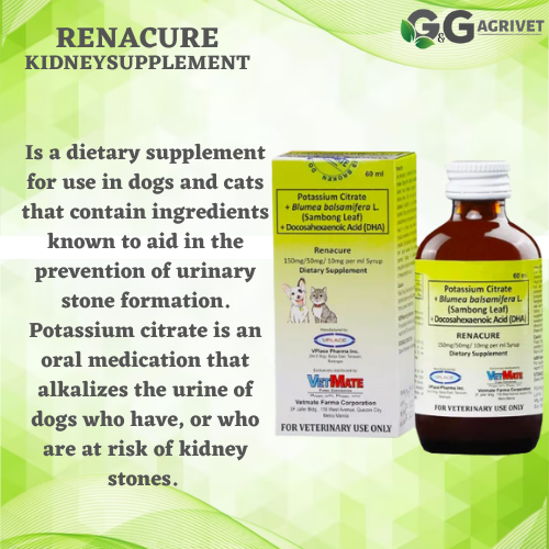 [G&G] RENACURE KIDNEY SUPPLEMENT/ 60ML /SYRUP / FOR ADULTS DOGS / CATS ...