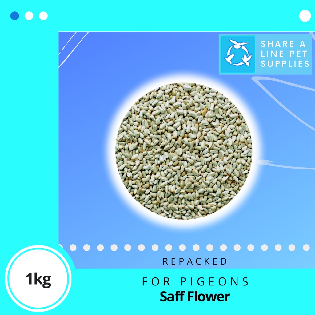 Saff Flower Seeds for Pigeons 1kg | Lazada PH