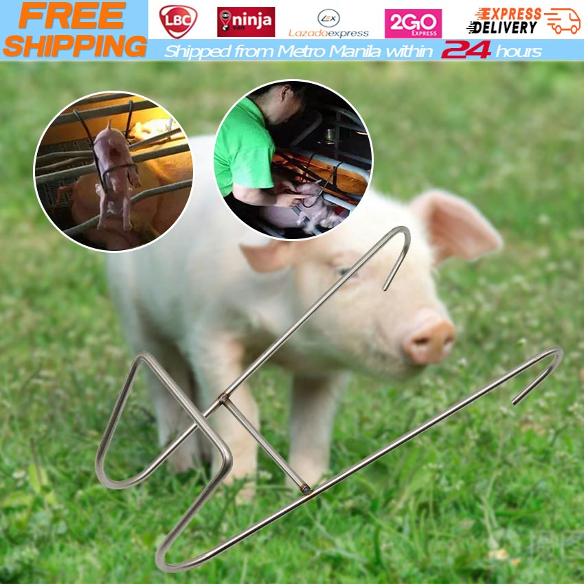 Castration Tools For Pig Stainless Steel Double Hook Castration Rack 1 ...