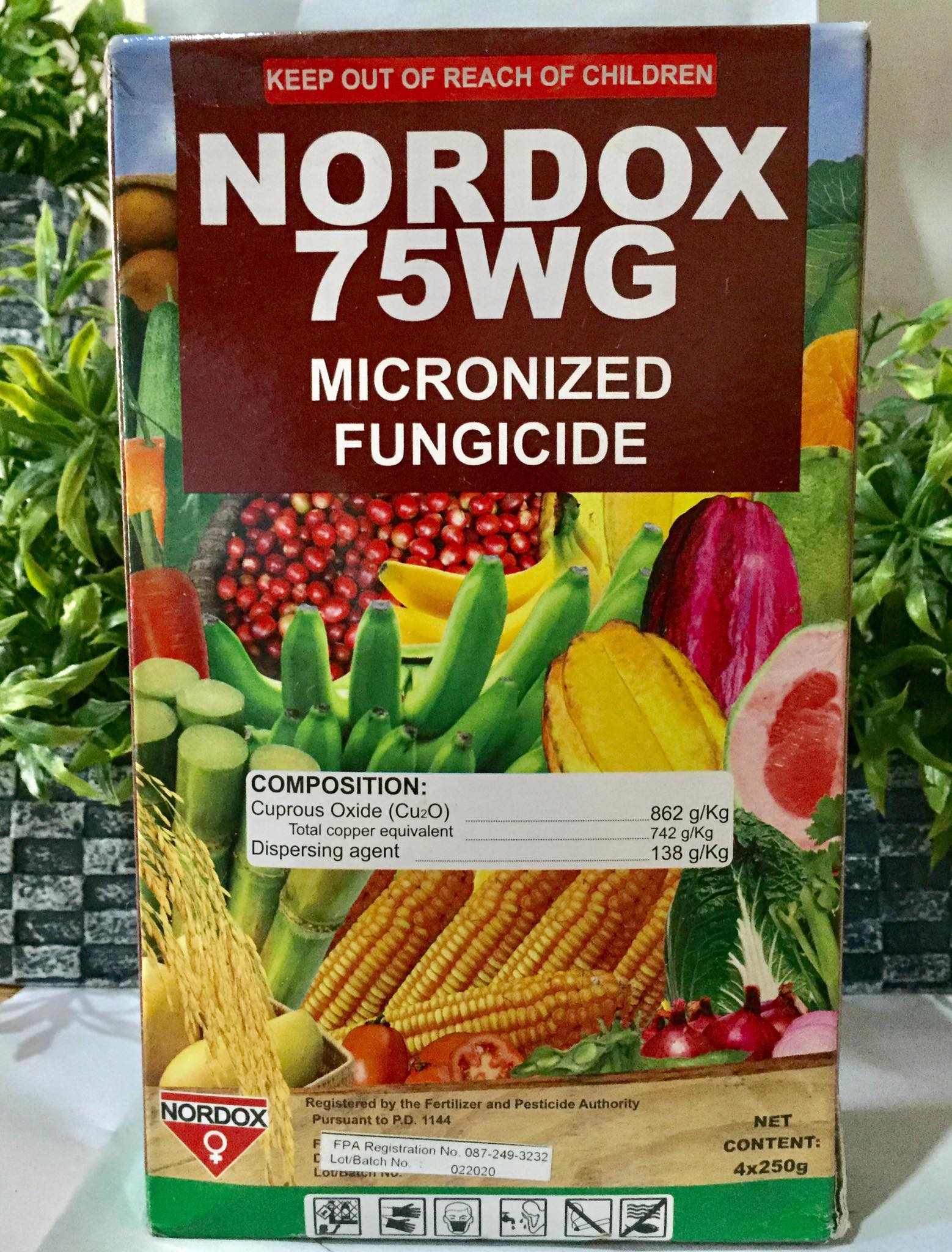 Nordox 75WG Micronized Fungicide 250gms | Lazada PH