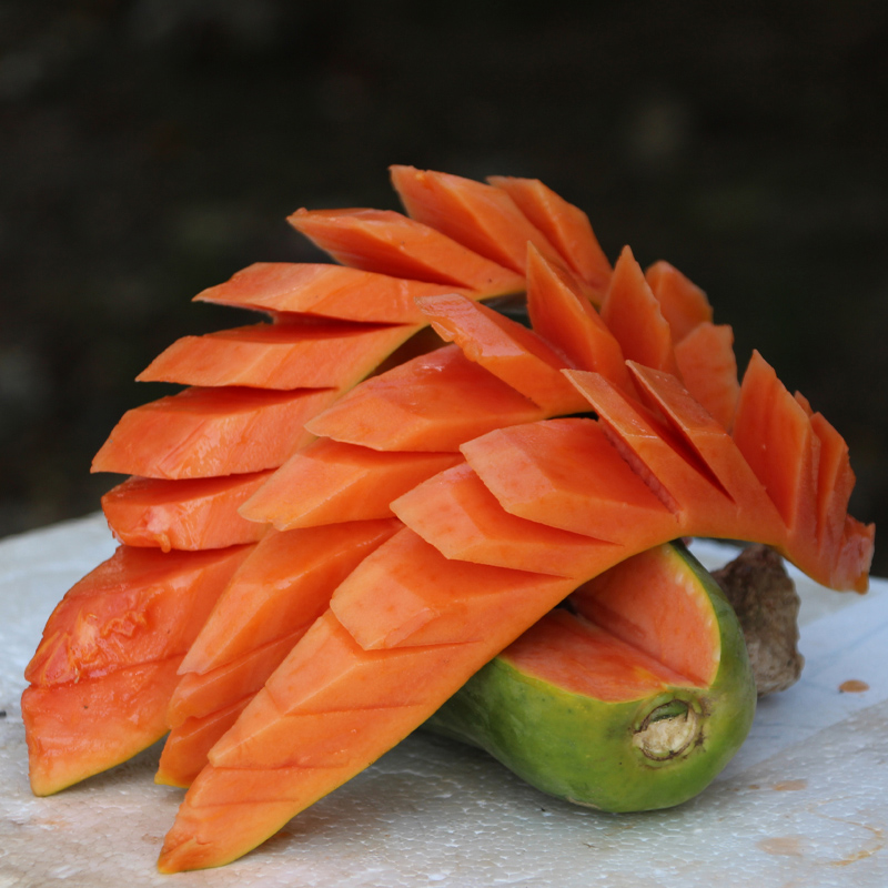 Yunnan red heart milk papaya parturient gives milk to green papaya ...