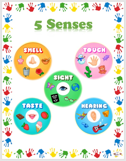 Laminated Chart 5 senses, Educational chart for kids (size 8.5 x 11 ...