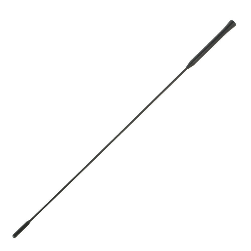 21.5Inch Roof AM/FM Antenna Mast Car Antenna for Ford Focus 2000-2007 ...