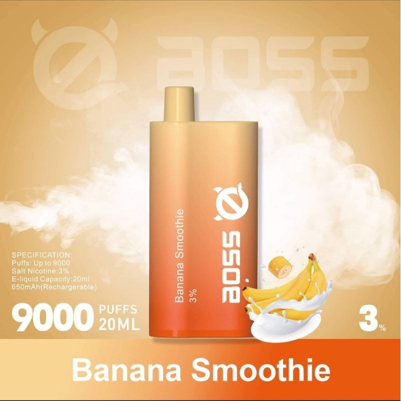 Boss 9000 Dispo Adjustable Airflow | Lazada PH