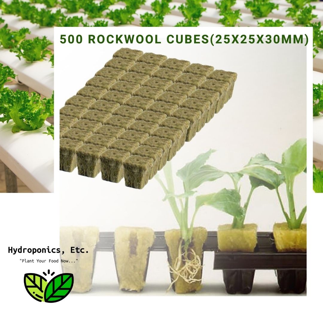 Hydroponics Rockwool Cubes for Soilless Planting (500 Cubes ...