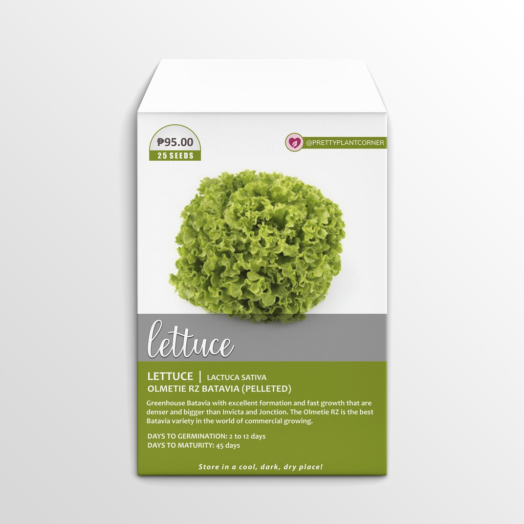 Olmetie RZ Batavia Lettuce Seeds | Lazada PH