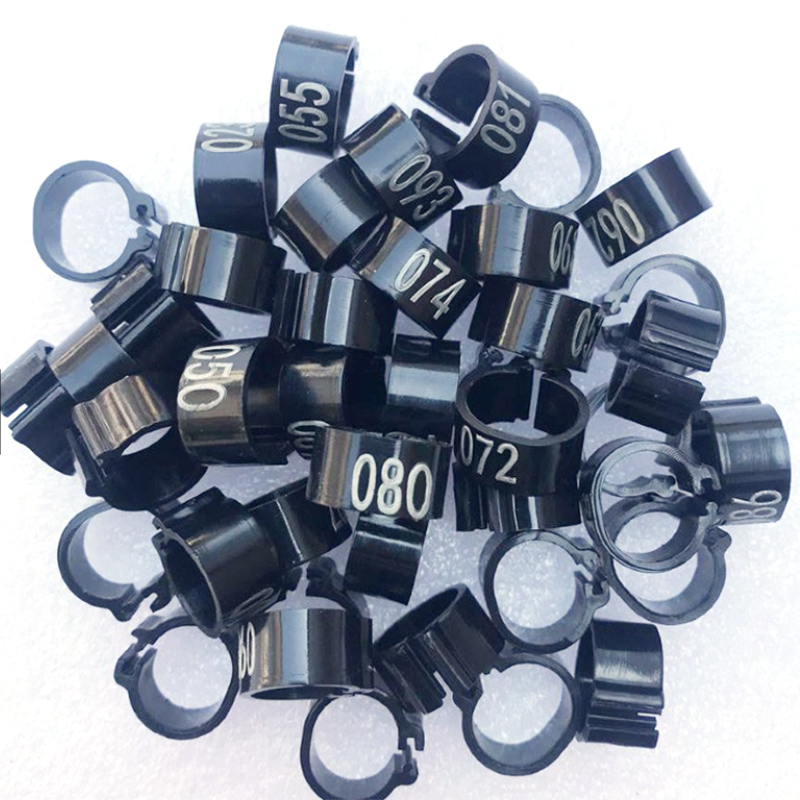 Clip ring for pigeon 2024 100Pcs Plastic Pigeon clip ring with number ...