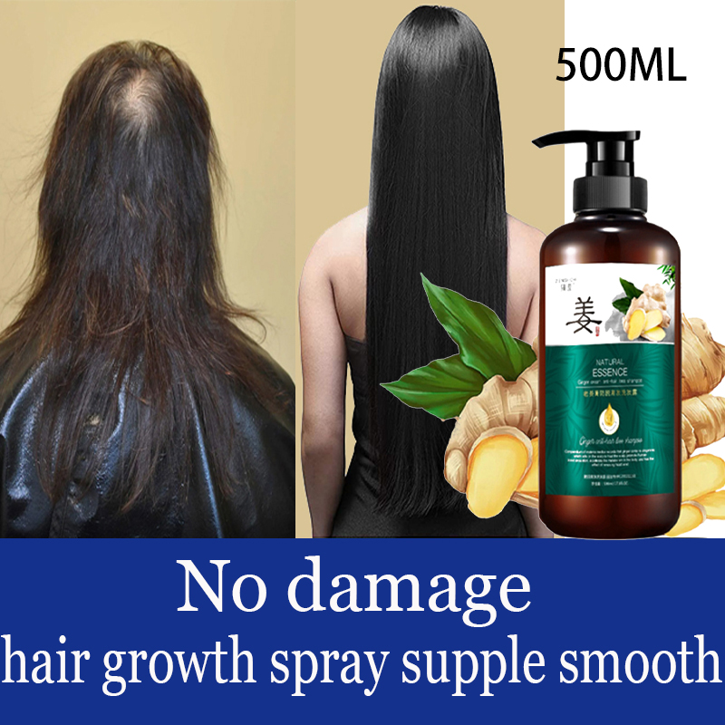 500ml Natural Ginger Shampoo for Hair Loss Herbal Ginger Extract ...