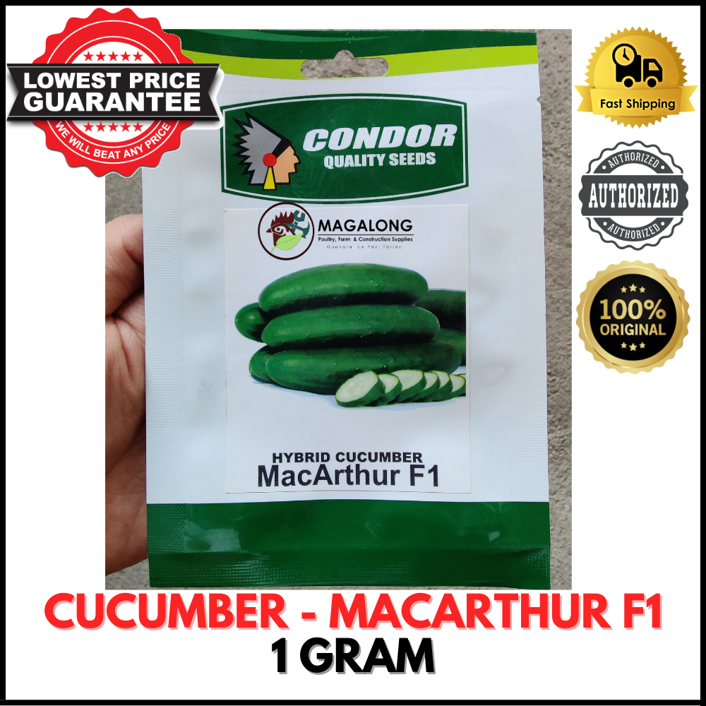 CONDOR SEEDS - CUCUMBER SEEDS - MAC ARTHUR F1 HYBRID 1 Gram | Lazada PH