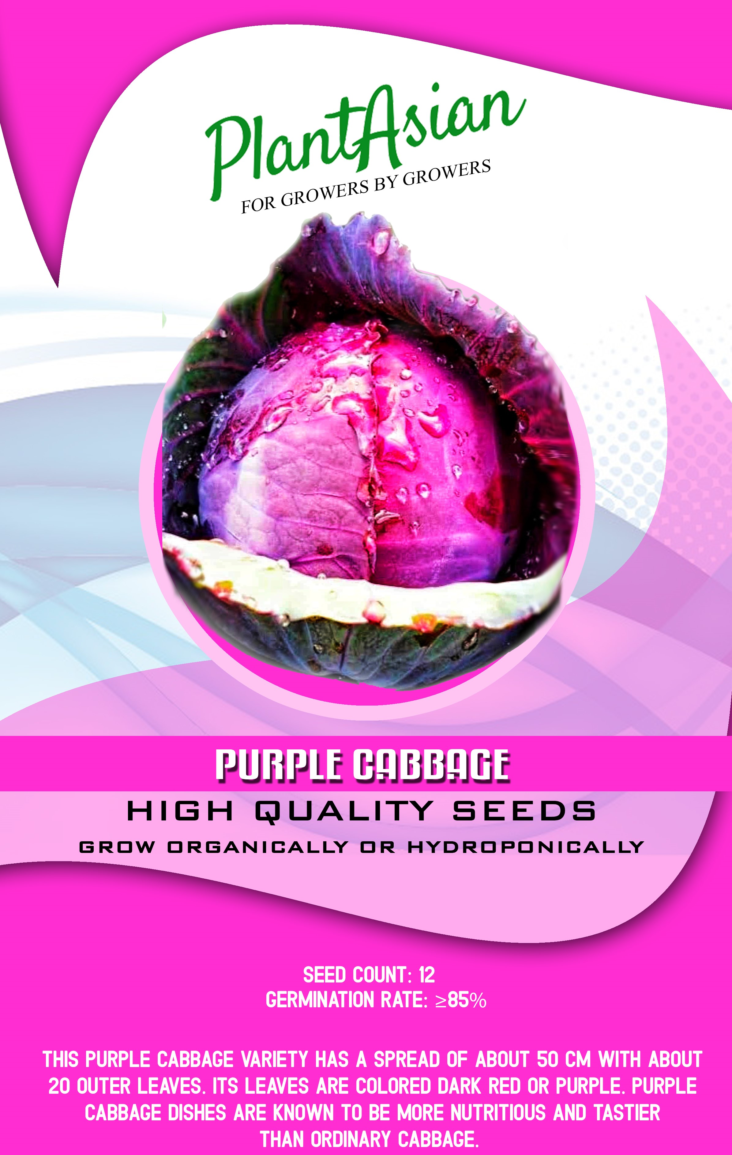 PURPLE CABBAGE SEEDS | Lazada PH