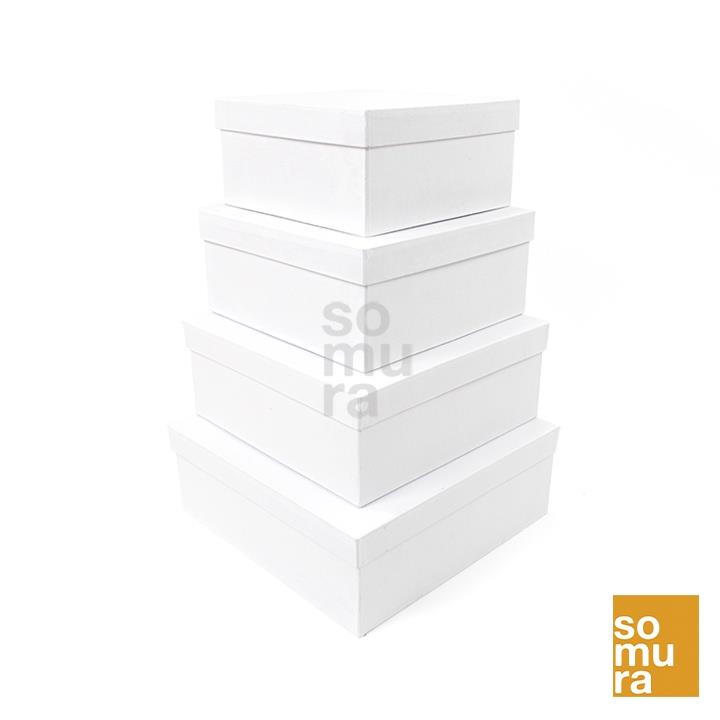 Regular Hard Box Packaging Box Cube/Square/Rectangular Box (SSC885 ...