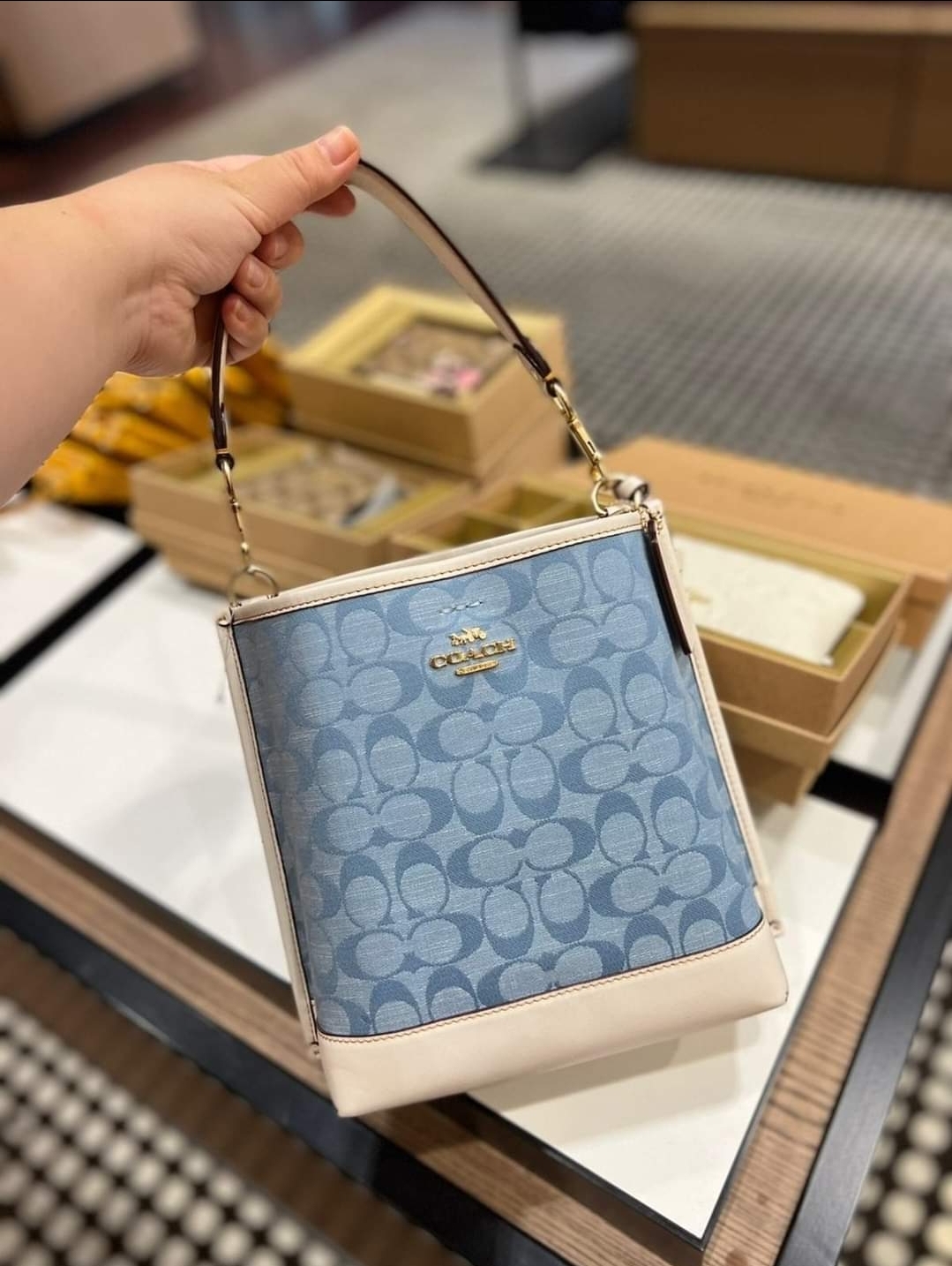 Original Coach CA583 Mollie Bucket Bag 22 In Signature Chambray Light ...