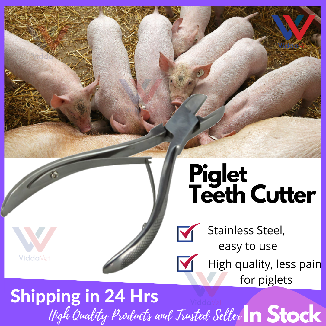 Stainless Piglet Teeth Cutter Stainless Steel Pig Tooth Nipper Piglets ...