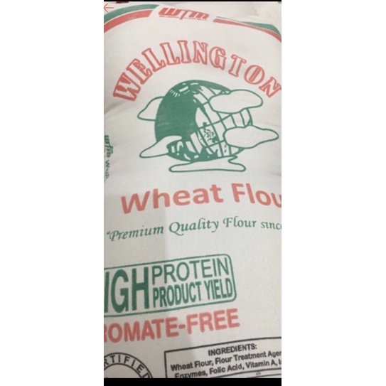 Wellington 1st class hard wheat flour 25 kg | Lazada PH