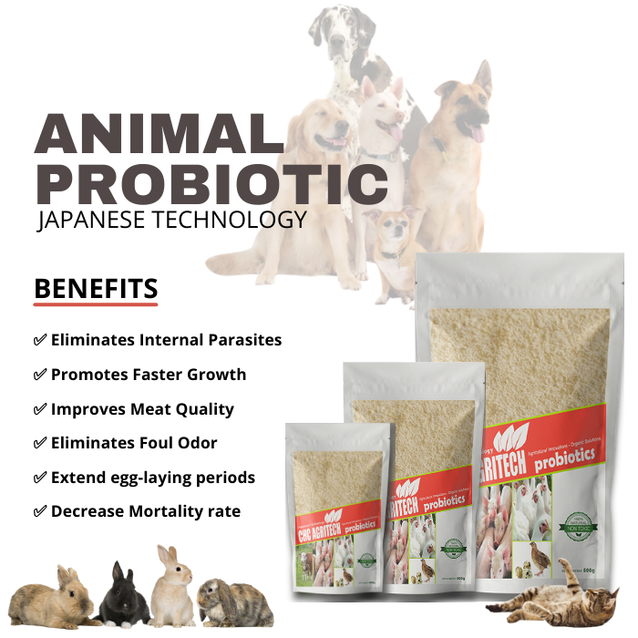 Shoppers Online Japanese Technology CHC AGRITECH Probiotics 100g - Pets ...