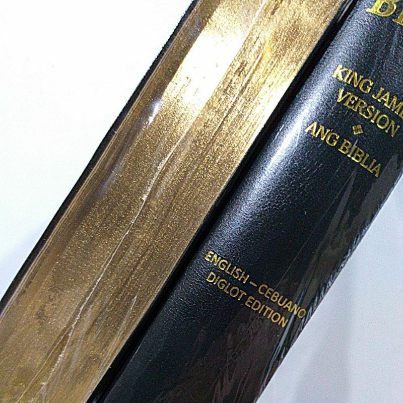 KJV Bible Diglot (English-Cebuano) | Lazada PH