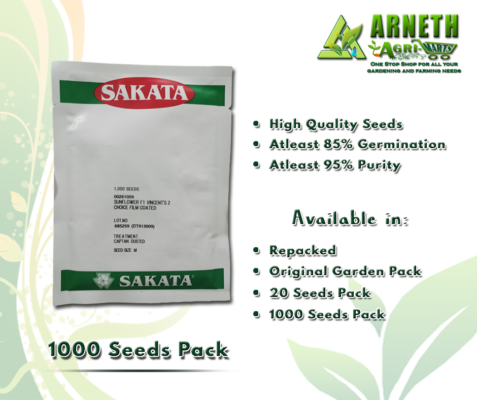SAKATA SUNFLOWER VINCENT'S CHOICE SEEDS (1000 SEEDS) | Lazada PH