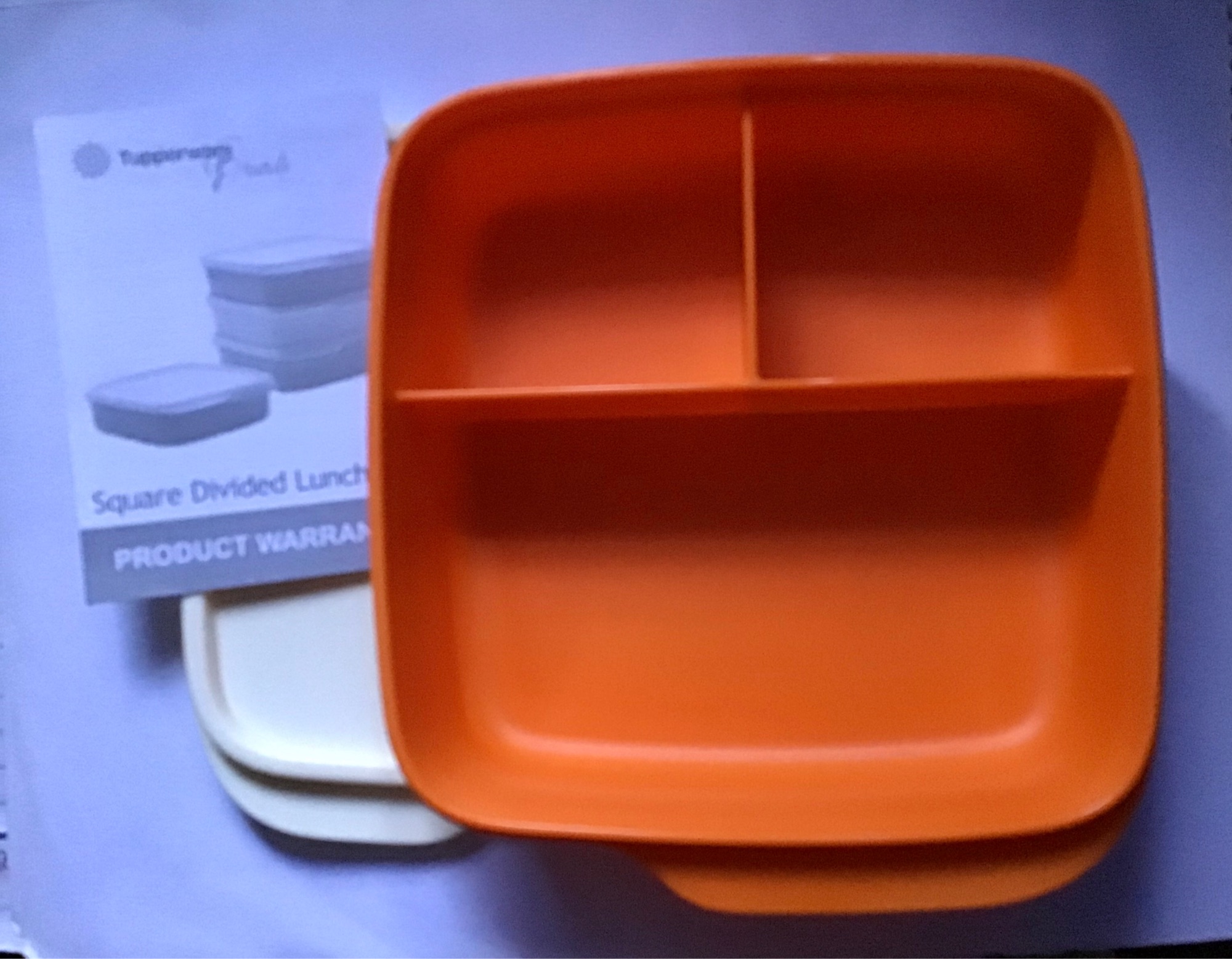 Square Divided Lunch Box | Lazada PH