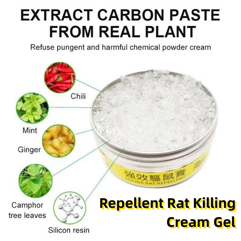 10Pcs/set Cockroach Repellent Pitfall House Killer Insect Glue Bait Non ...