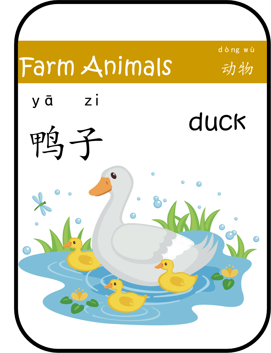 Mandarin Laminated Flashcards for Kids | Bilingual | Farm Animals ...