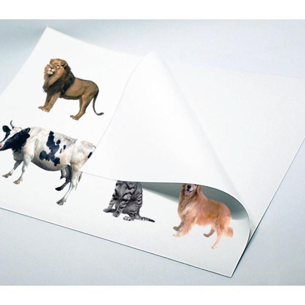 Itech Waterproof A3 Printable Vinyl PP PET Decal Sticker A3 for pigment ...