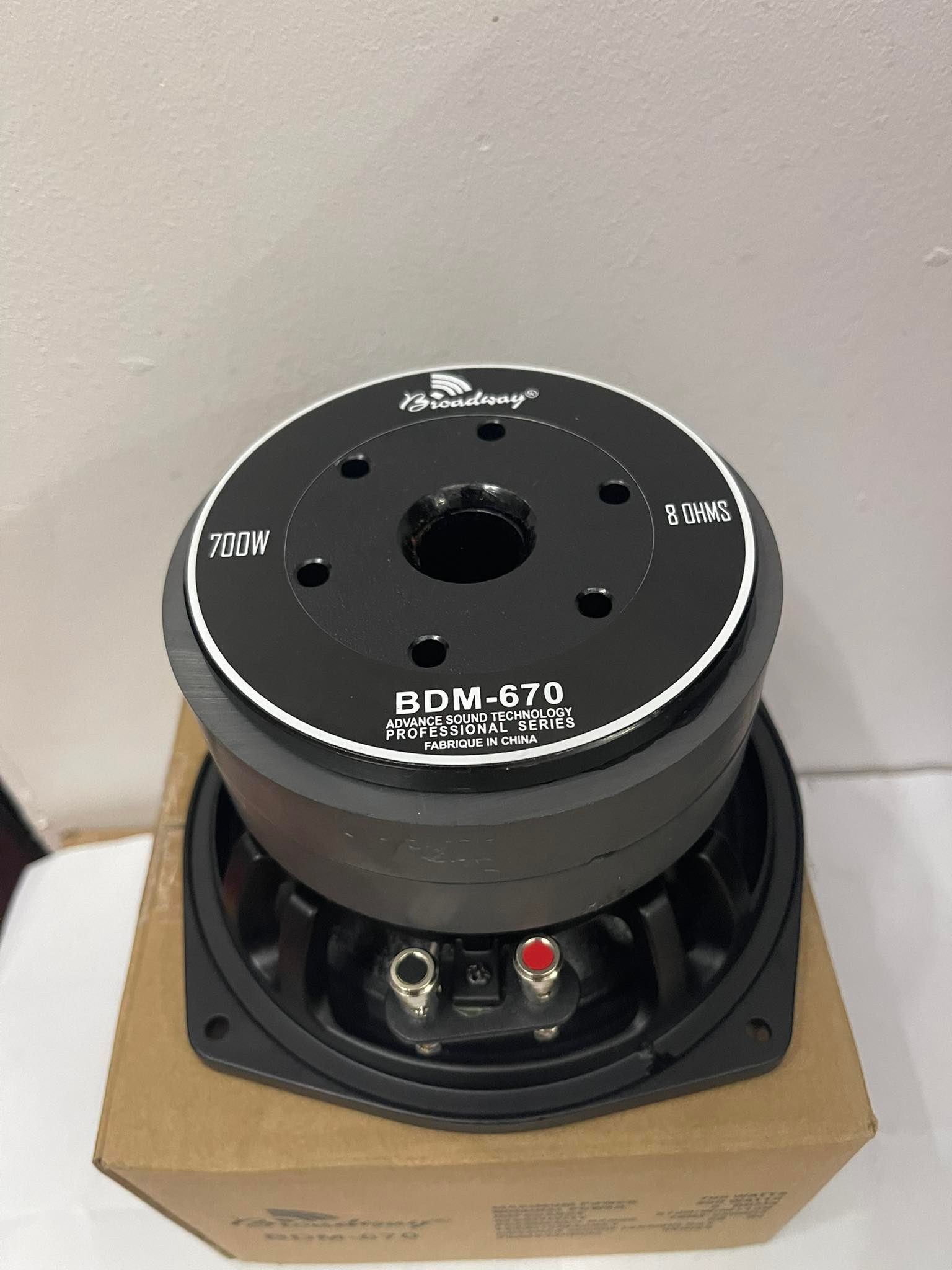 Broadway 6.5" BDM-670 700W Double Magnet Instrumental Speaker | Lazada PH