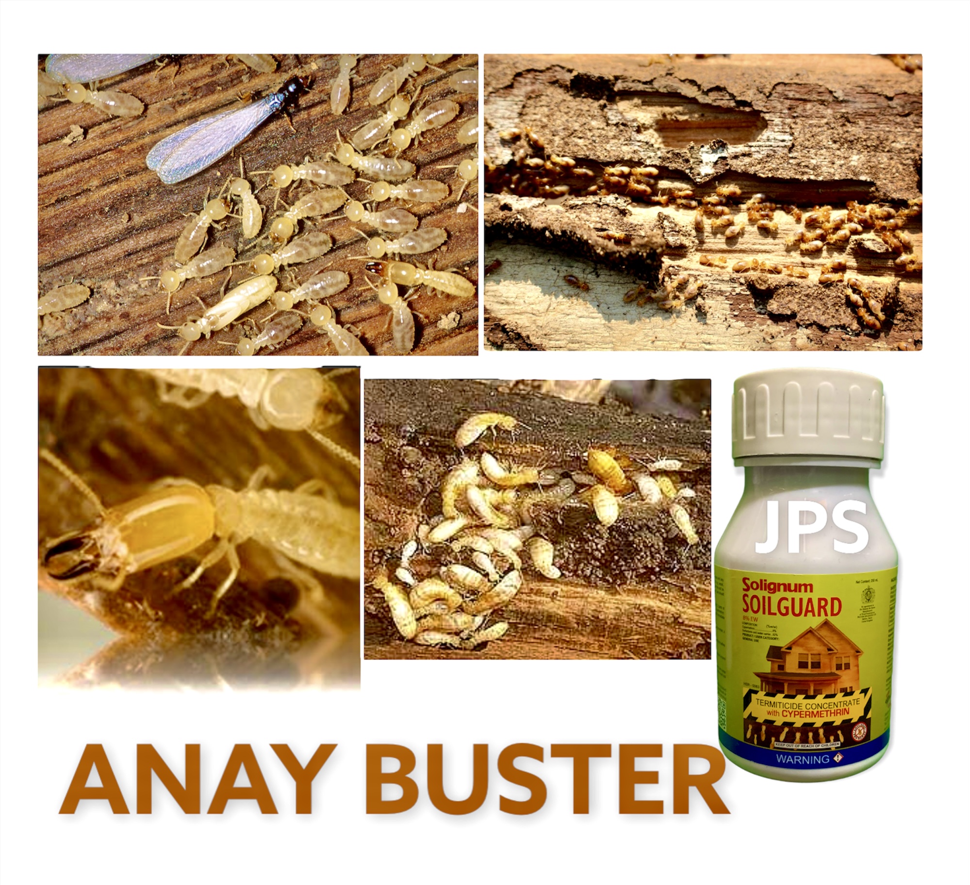 SOILGUARD BY SOLIGNUM ANTI-TERMITE (ANAY) 250ml | Lazada PH