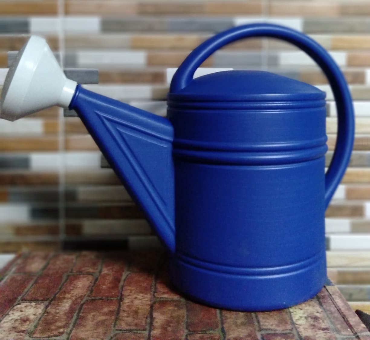 PLANTS WATERING KETTLE (6L) PANDILIG | Lazada PH