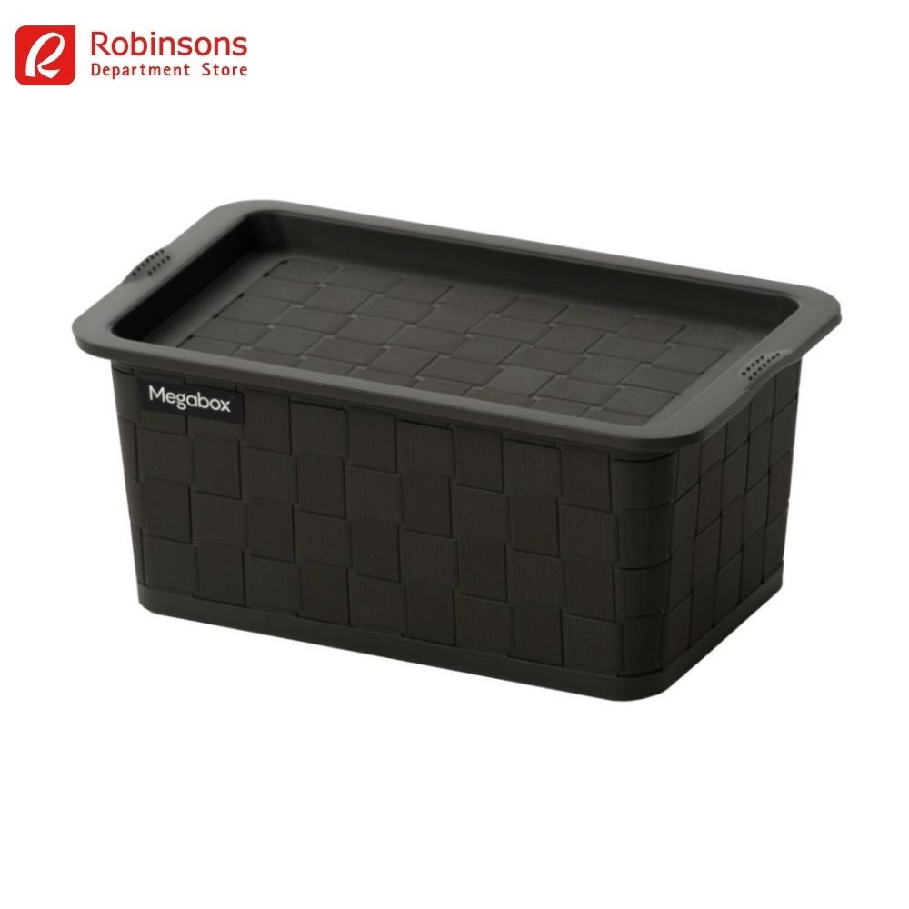 Megabox Boho Storage Box - Large | Lazada PH