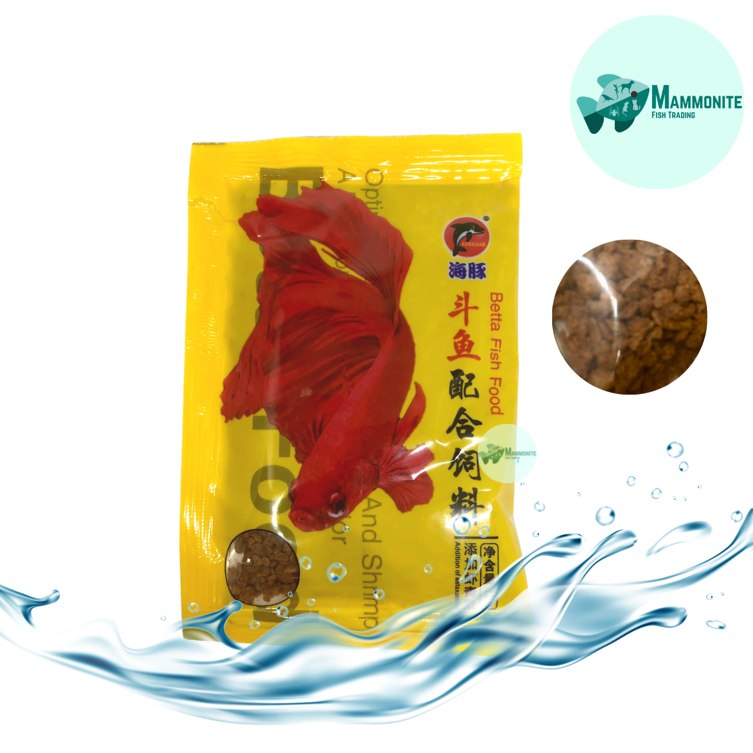 Infinity Betta Food Daily Nutrition for All Bettas Grooming Color ...