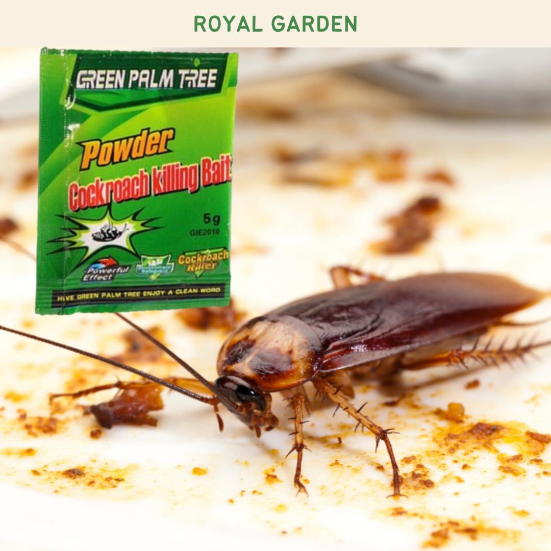 ROYAL GARDEN, 100% Cockroach killer powder, Professional Cockroach Bait ...