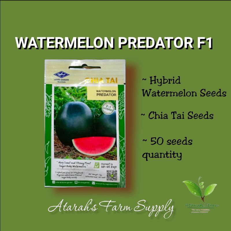 Hybrid Chia Tai Predator (Pakwan) Seeds | Lazada PH