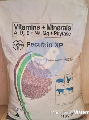 Bayer Pecutrin XP 250 500 grams 1 Kilo Repack Exp 11/2024 ON HAND READY ...
