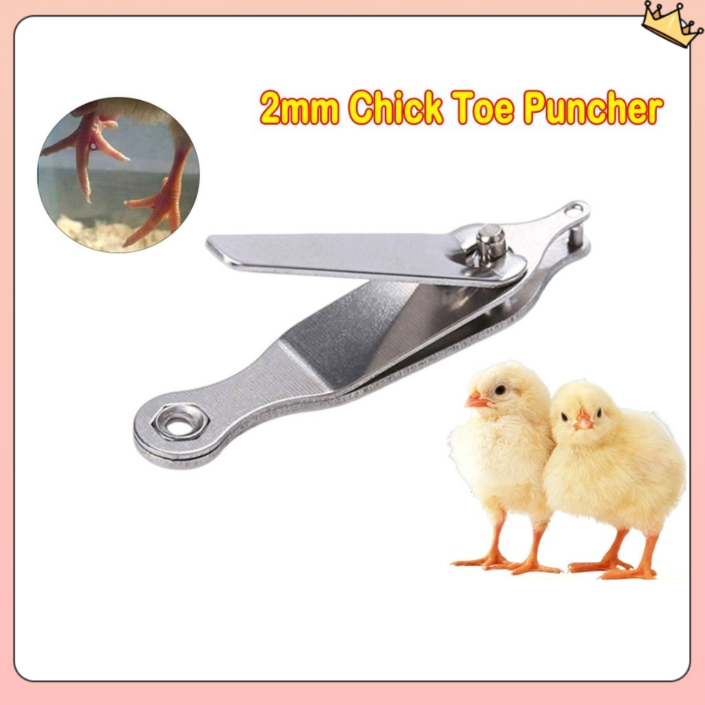 Stainless steel Chick Toe puncher (nail cutter type) Toe marker for ...