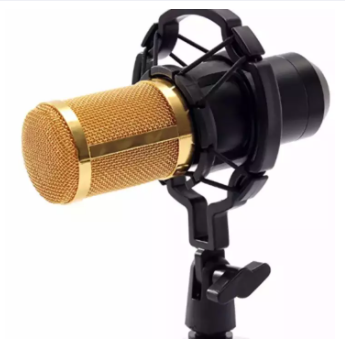 Microphone Professional Mic Music Studio Recording Shoutcasting Vlog ...