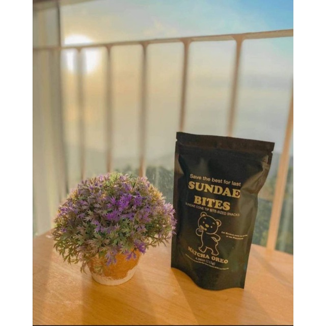 chocolate Sundae Bites Philippines (Cone Tip Bite-Size Snack) | Lazada PH