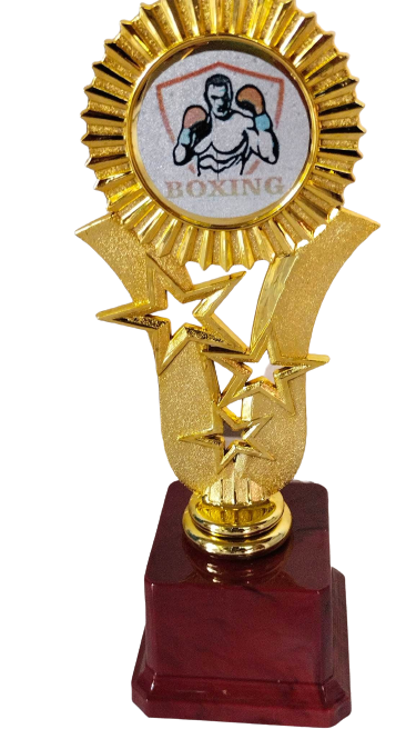 Boxing Star Trophy Plastic Gold 2022-926 Height 24 CMS customize ...