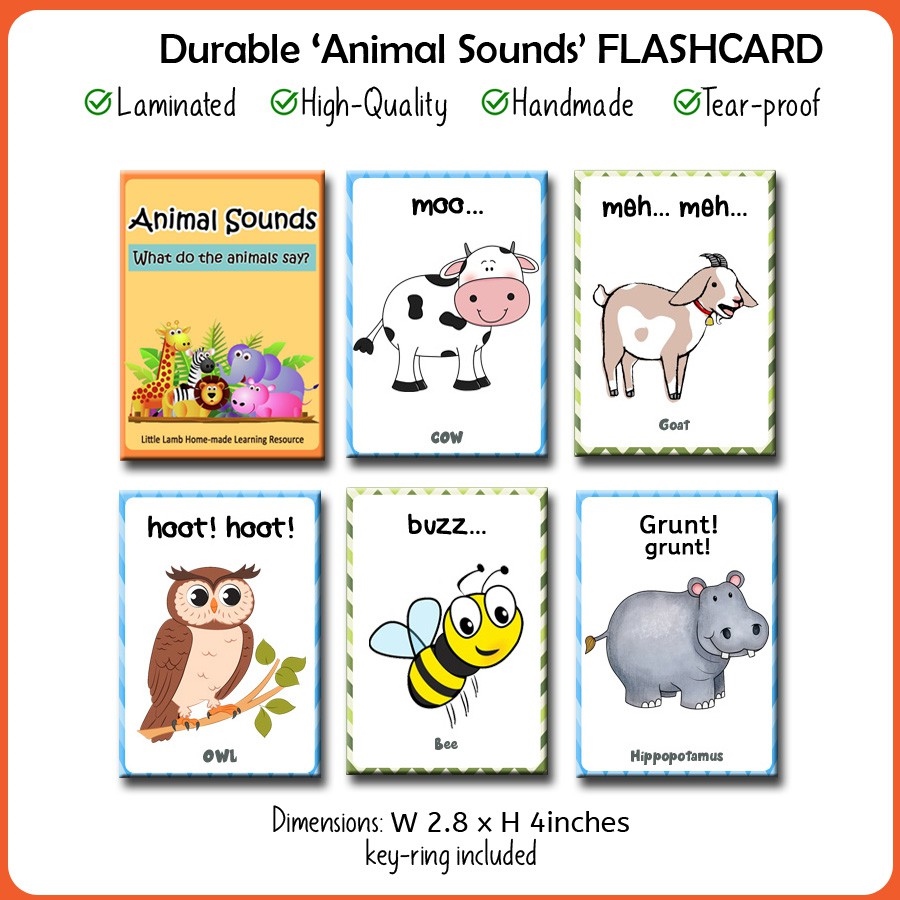 【COD】manlang22459862 Littlelamb Animal Sounds Laminated Flashcard for ...