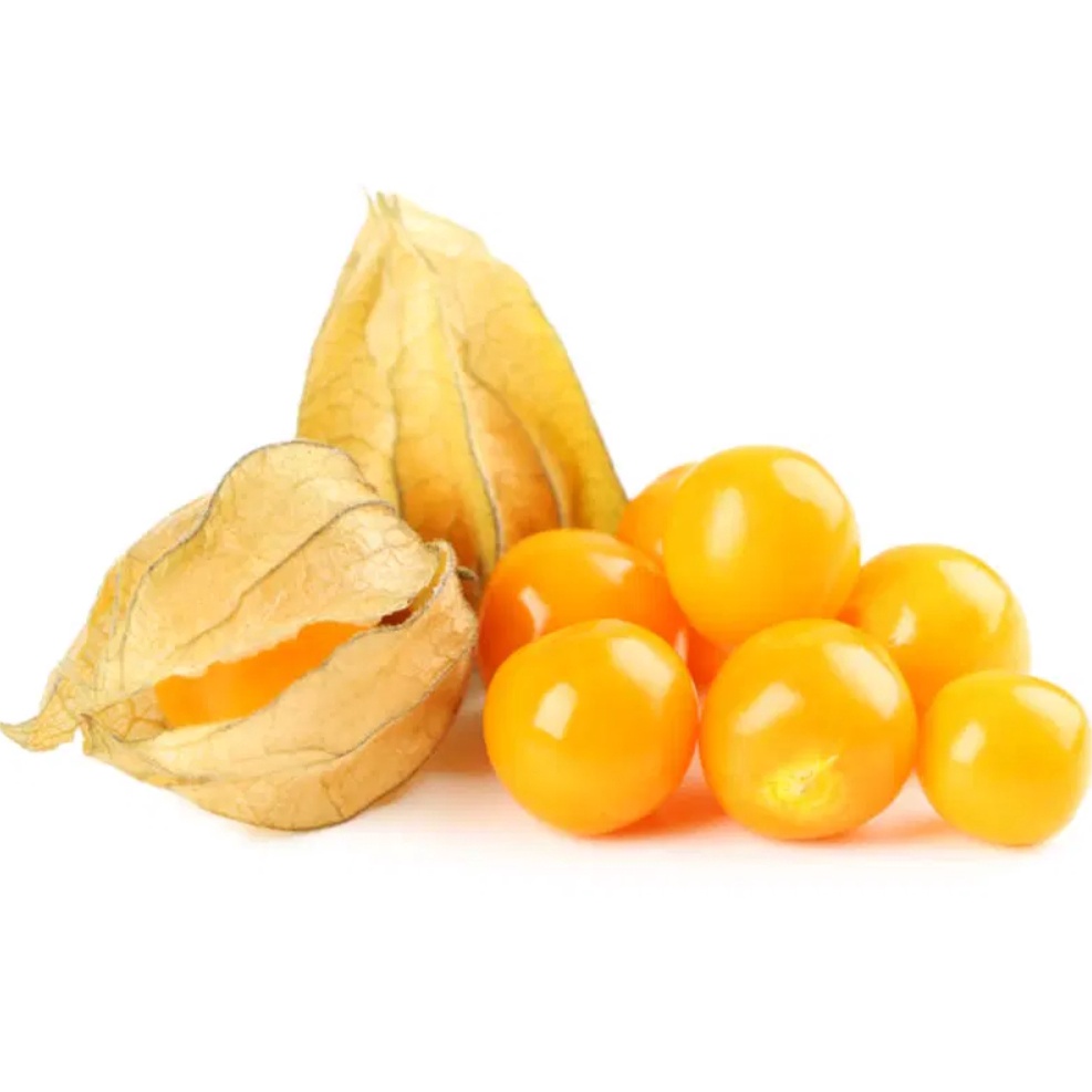 Physalis Peruvian Ground Cherry Gooseberries Tino-Tino Fruit Seeds ( 50 ...