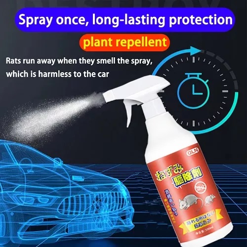 [DALI STORE] BEST SELLING JAPAN NATURAL ORIGINAL AFFORDABLE QUALITY RAT ...