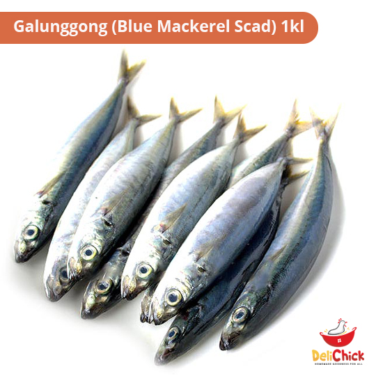 Galunggong (Blue Mackerel Scad) 1kl | Lazada PH