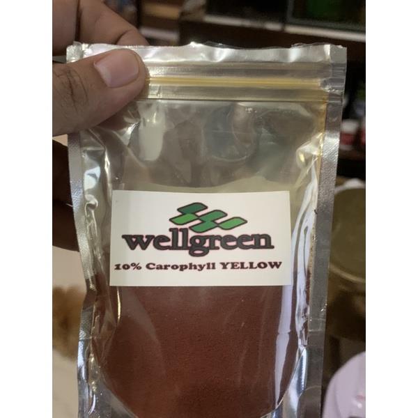 Carophyll yellow 5grams | Lazada PH